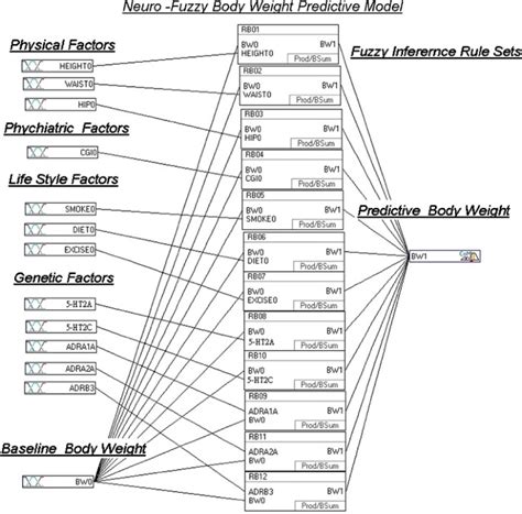 Performance Of A Neuro Fuzzy Model In Predicting Weight Changes Of Chronic Schizophrenic
