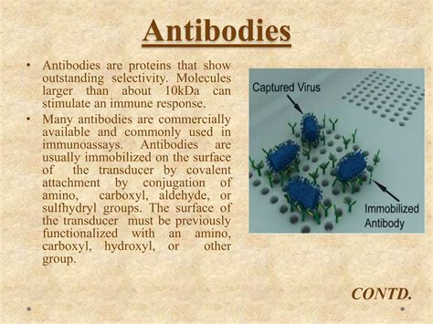 Biosensors Structure And Application Pptx