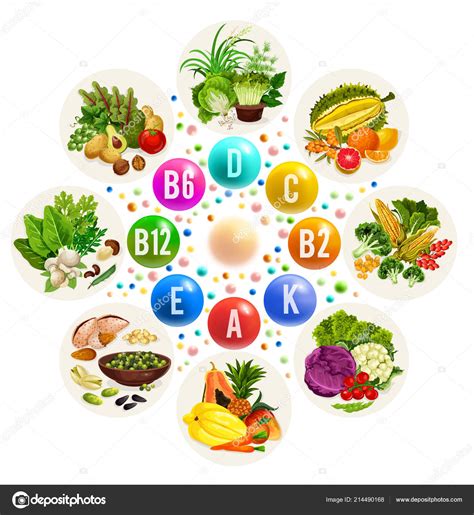 Vitamin Source In Food Fruits And Vegetables Stock Vector Image By ©seamartini 214490168