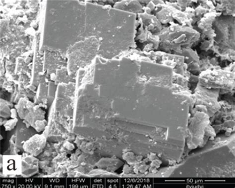 Characteristics Under Sem Analysis Download Scientific Diagram Characteristics Under Sem Analysis Download Scientific Diagram