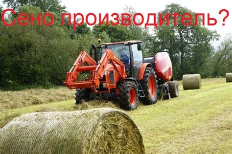 Переводчики Игры гиф анимация гифки ПРИКОЛЬНЫЕ  анимашки картинки гифки