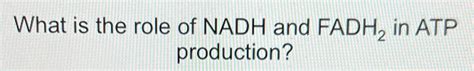 Solved What Is The Role Of NADH And FADH In ATP Chegg Com