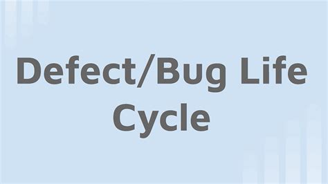 What Is A Defect Bug Life Cycle