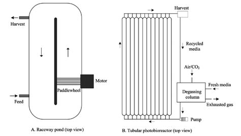 An Illustration Of An Example Of An Open And A Closed System 1 Download Scientific Diagram