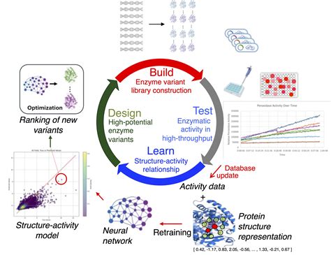Medicinal Enzyme Engineering Laboratory Tuat