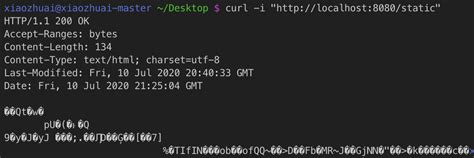 DOCUMENTATION No Content Encoding Gzip Header On Gzip Ed Bindata Issue Kataras Iris