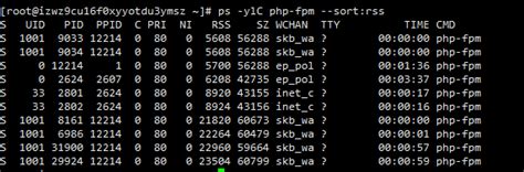 Php Fpm 内存占用过大问题phpfpm内存越来越高 Csdn博客