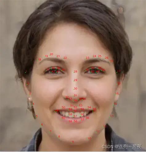 dlib库包的介绍与使用opencv dlib检测人脸框opencv dlib进行人脸 关键点检测opencv dlib实现人脸识别特征聚类 掘金