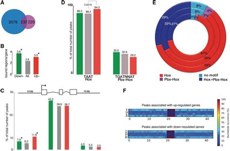 Intersection Between Chip Seq Data And Gene Expression Analysis A Download Scientific