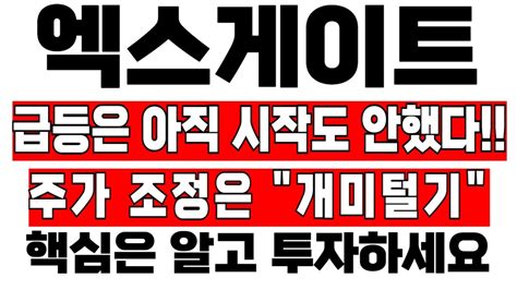 엑스게이트 주가분석 급등은 아직 시작도 안했습니다 엑스게이트 엑스게이트주가전망 이교수 Youtube