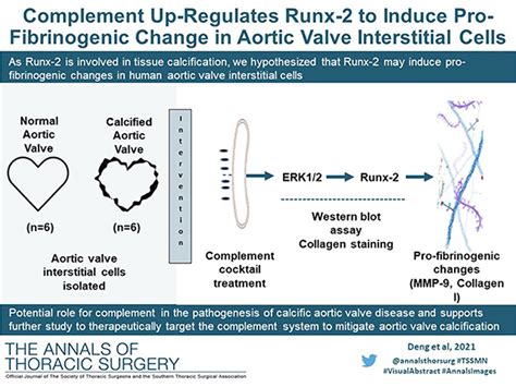 Complement Upregulates Runx To Induce Profibrogenic Change In Aortic Valve Interstitial Cells