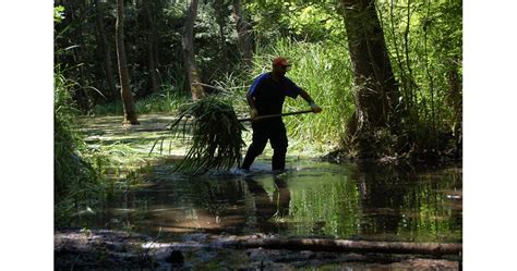 Рядко растение се появи в парк “Златни пясъци”