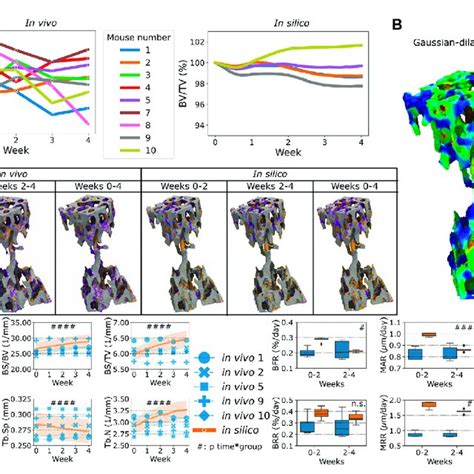 In Silico Results Of Variations Of The Maximum Single Cell Production Download Scientific