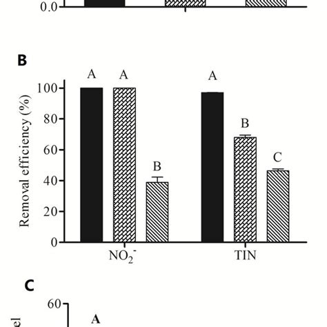 Effects Of Different Carbon Sources On Growth A Denitrification B