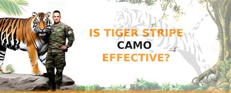 Is Tiger Stripe Camo Effective For Concealment Tiger Universe