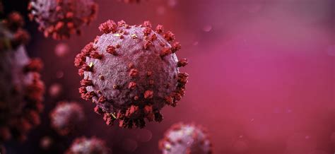 Inferring The Effective Reproductive Number From Deterministic And Semi Deterministic