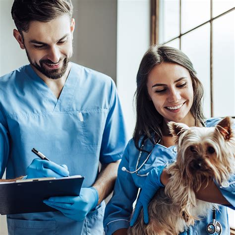 E3 Leadership And Mentorship 101 Toolkit WTA Veterinary Consultants