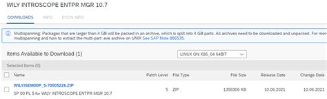 Willy Introscope Install Or Update To Version 1070323 Sap Basis