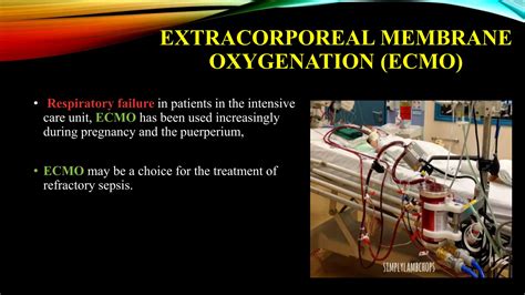 Obstetrics Sepsis Bundle Approachpptx Obstetrics Sepsis Bundle Approachpptx