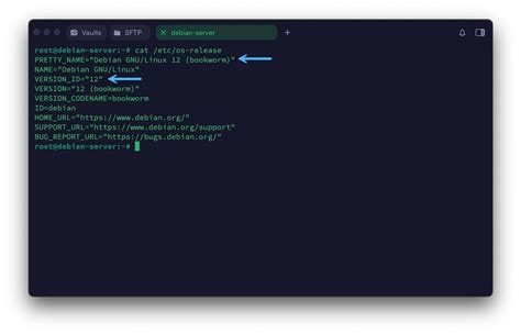 debian如何查看系统版本 7种轻松查看debian版本信息的实用方法 ubuntu debian 操作系统 脚本之家