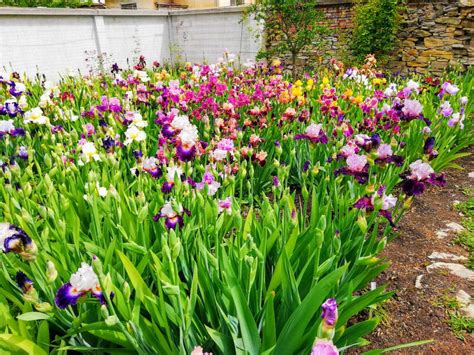 Новият терен Page 118 Форум