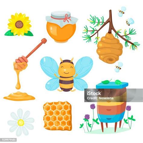 꿀벌과 꽃 야생 꿀벌과 항아리와 양 봉 세트 꿀과 벌집 벡터 만화 평면 그림입니다 개체 그룹에 대한 스톡 벡터 아트 및 기타 이미지 개체 그룹 건강한 생활방식 건강한
