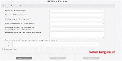 Incorporation Of Company Through Spice With Detailed Analysis