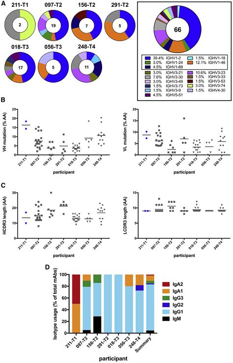 Molecular Characteristics Of Plasmablast Derived MAbs A VH Gene Usage Download Scientific