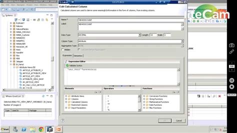 sap hana create input parameters and variables in analytic views