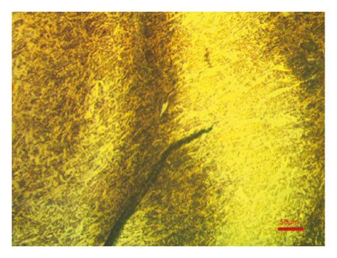 Crack Morphology In The Observation Area Of The 12 Target Plates A