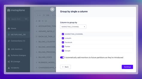 Introducing Partition Monitors Find Data Quality Issues In Segments Of Your Data Metaplane