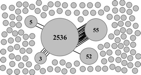 State Of Decomposition For Iteration Number 1200 Download Scientific