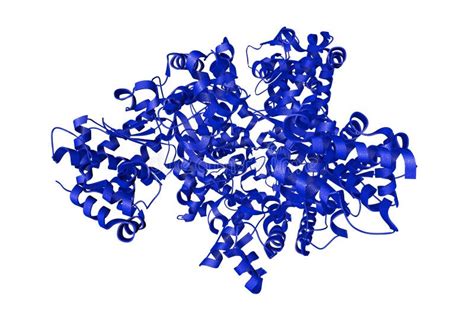 Anthrax Toxin Lethal Factor Molecular And Crystal Structure Of Anthrax Toxin Produced By