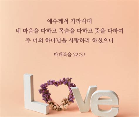 에스더 🔗📚 마태복음 22 37 예수께서 가라사대 네 마음을 다하고 목숨을 다하고 뜻을 다하여