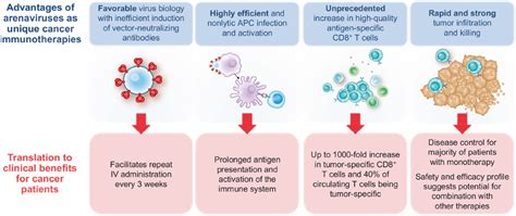 Setting A New Standard In T Cell Cancer Therapy