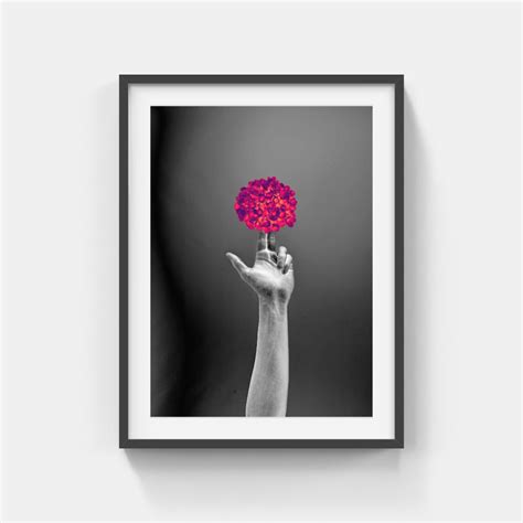 John Mars Hydrangea Macrophylla — Galleri Mats Bergman