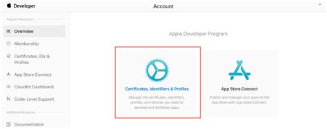 Apple Dev Certificate