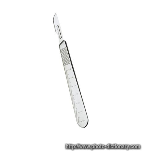 Surgery Scalpel Photo Picture Definition At Photo Dictionary Surgery Scalpel Word And Phrase