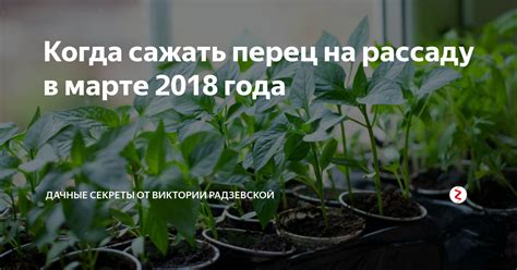 Когда сажать перец на рассаду в марте 2018 года | Виктория Радзевская ...