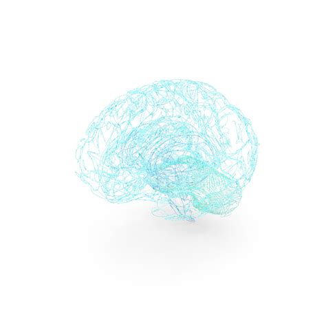 Brain PNG Images PSDs For Download PixelSquid