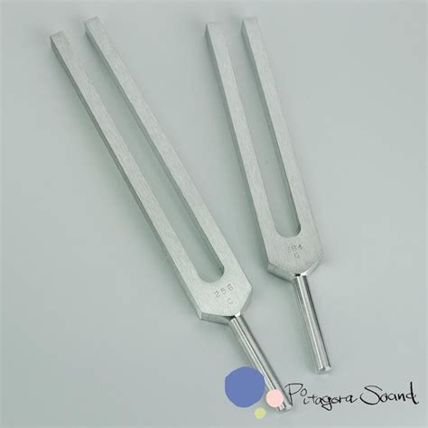 新品 ボディチューナー C256＆g384 バイオソニックス 音叉 メルカリ