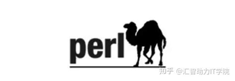 不会吧，不会吧，不会还有人觉得python是胶水语言吧？ 知乎