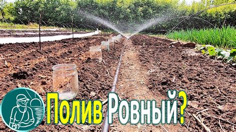 🚿 Полив огорода дождевателем Улитка 🌱 Равномерно ли поливает ...