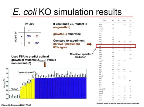 Ppt Introduction To Steady State Metabolic Modeling Powerpoint Presentation Id3372565