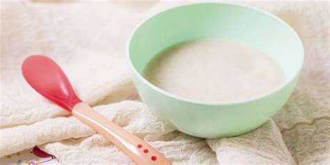 Bacteria Cronobacter Sakazakii Todo Lo Que Necesitas Saber