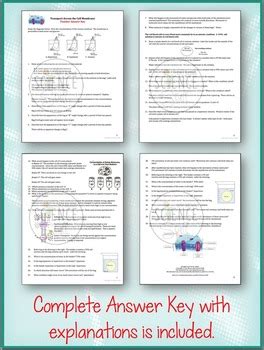 Cell Membrane Transport Worksheet Osmosis Diffusion By Amy Brown Science
