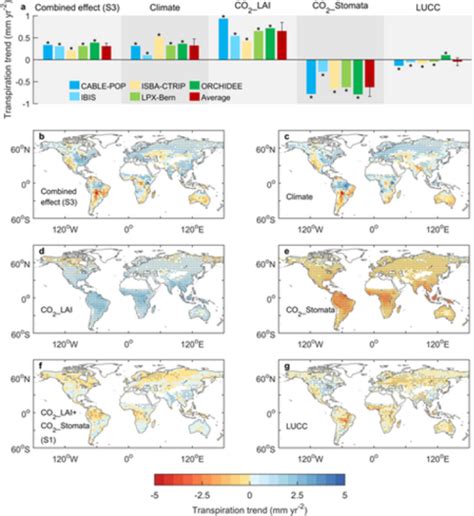 What Are The Causes Behind Global Plant Transpiration Trends