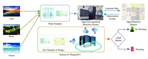 The Schematic Diagram Of The Algal Self Organized Detection System Download Scientific Diagram