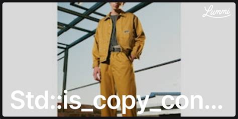 Std Is Copy Constructible Images — Free Hd Download On Lummi
