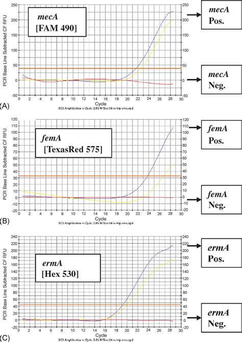 Representative Results Obtained In Triplex Real Time Polymerase Chain